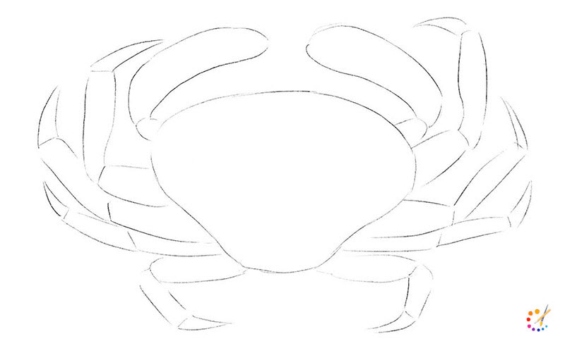 How to Draw a Crab Step By Step – For Kids & Beginners