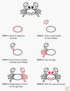 How to Draw a Crab Step By Step – For Kids & Beginners