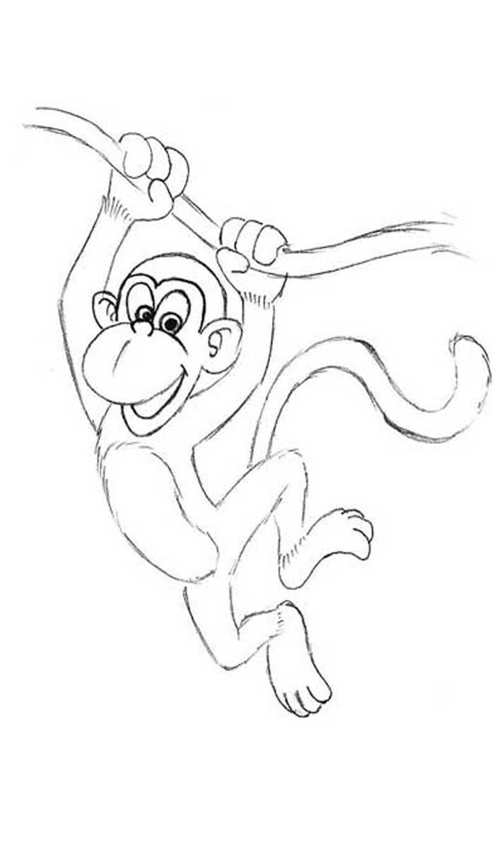 How to draw monkey step by step for kids and beginners