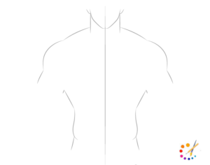 How to Draw Muscles Step By Step – For Kids & Beginners