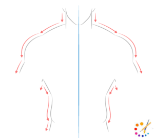 How to Draw Muscles Step By Step – For Kids & Beginners