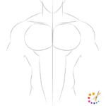 How to Draw Muscles Step By Step – For Kids & Beginners