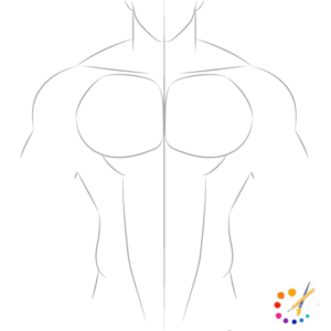 How to Draw Muscles Step By Step – For Kids & Beginners