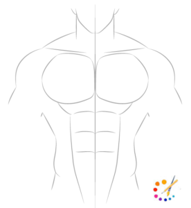 How to Draw Muscles Step By Step – For Kids & Beginners