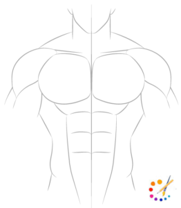 How to Draw Muscles Step By Step – For Kids & Beginners