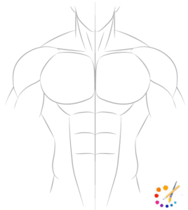 How to Draw Muscles Step By Step – For Kids & Beginners