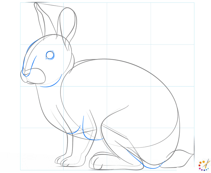 How to Draw Rabbit Step By Step - For Kids & Beginners