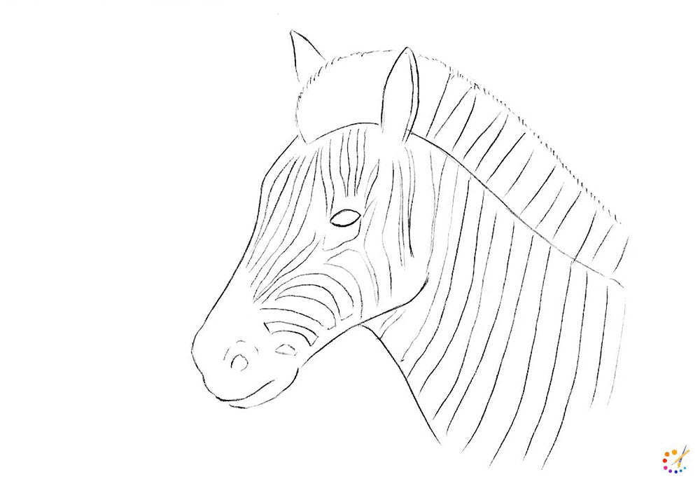 How to Draw Zebra Step By Step - For Kids & Beginners