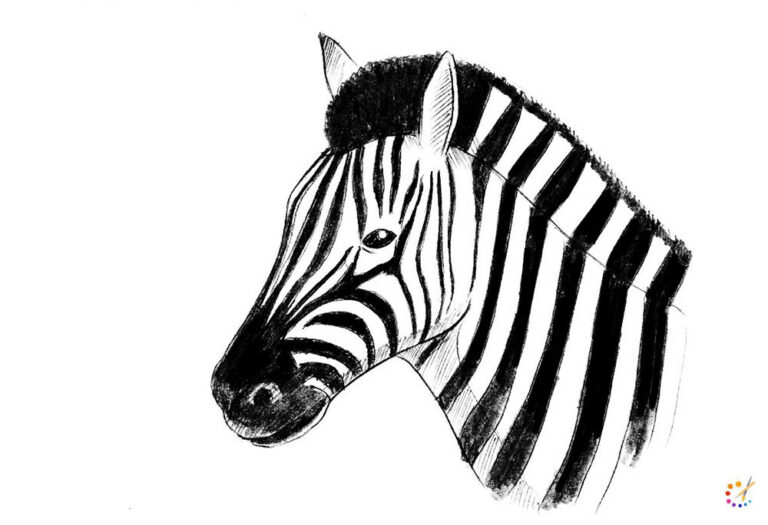 How to Draw Zebra Step By Step - For Kids & Beginners