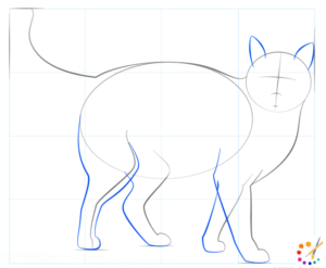 How to Draw a Cat Step By Step – For Kids & Beginners
