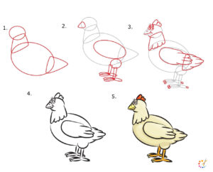 How to Draw a Chicken Step By Step – For Kids & Beginners