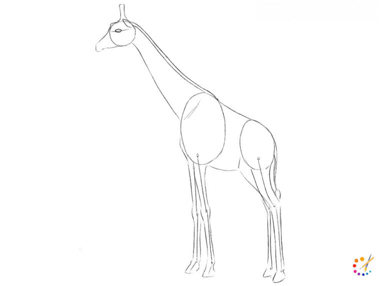 How to Draw a Giraffe Step By Step – For Kids & Beginners