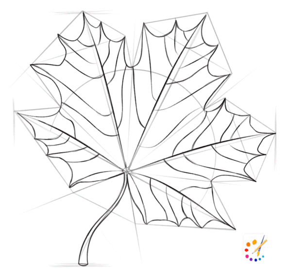 How to Draw a Leaf Step By Step – For Kids & Beginners
