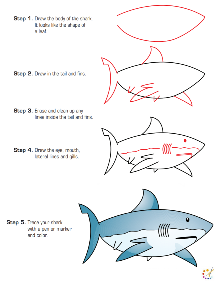 How to Draw a Shark Step By Step – For Kids & Beginners
