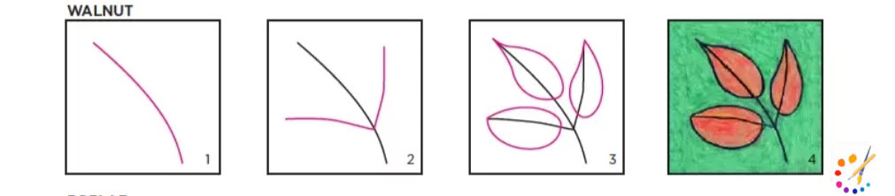 How to Draw a Leaf Step By Step – For Kids & Beginners