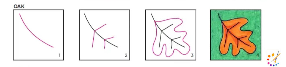 How to Draw a Leaf Step By Step – For Kids & Beginners