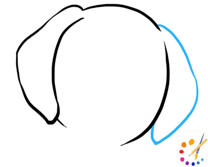 How to draw dog for kids and beginners step by step