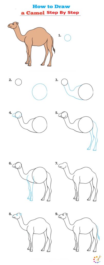 How to Draw a Camel Step By Step – For Kids & Beginners