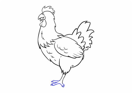 How to Draw a Chicken Step By Step – For Kids & Beginners
