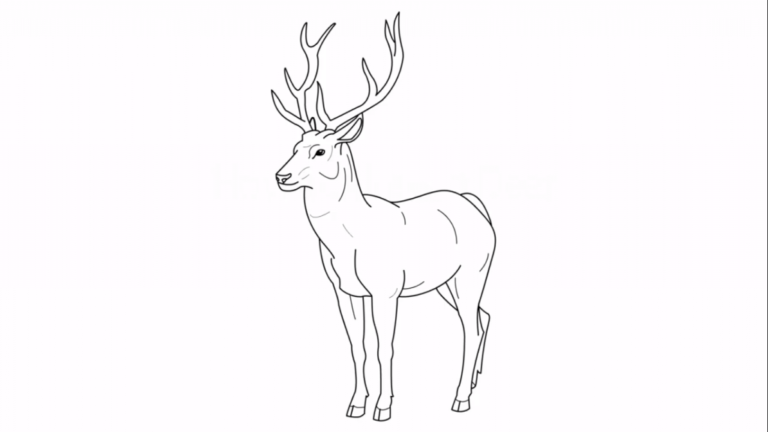 How to Draw a Deer Step By Step Guide - For Kids & Beginners