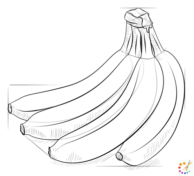 How To Draw a Banana Step By Step – For Kids & Beginners