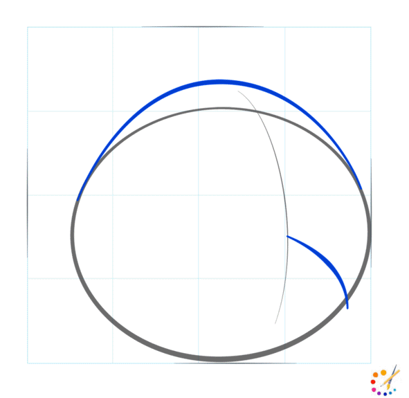 How to Draw a Cardinal Step By Step – For Kids & Beginners