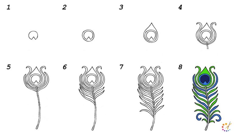 How to Draw a Feather Step By Step – For Kids & Beginners