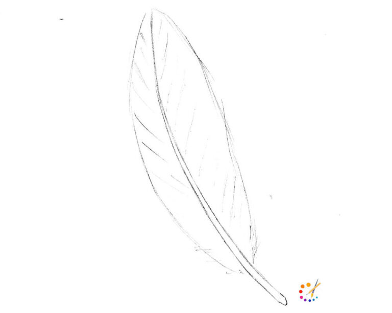 How to Draw a Feather Step By Step – For Kids & Beginners