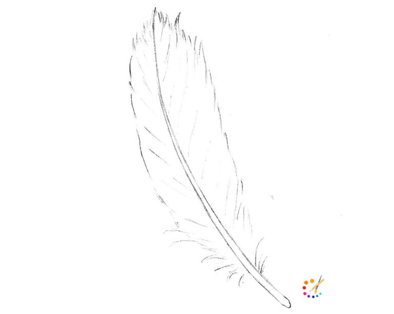 How to Draw a Feather Step By Step – For Kids & Beginners
