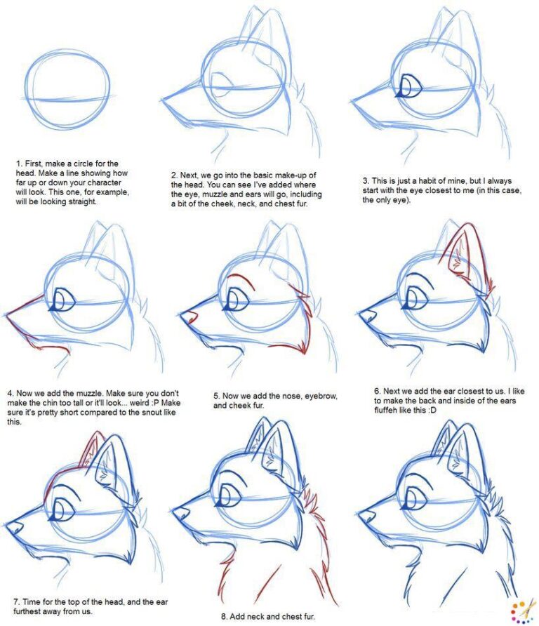 How to Draw furry Step by Step - For Kids & Beginners