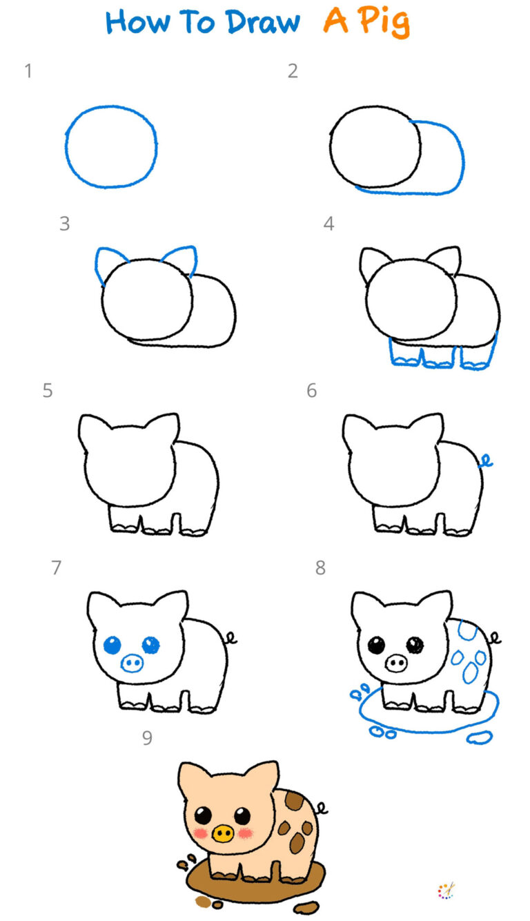 How to Draw a Pig Step by Step - For Kids & Beginners