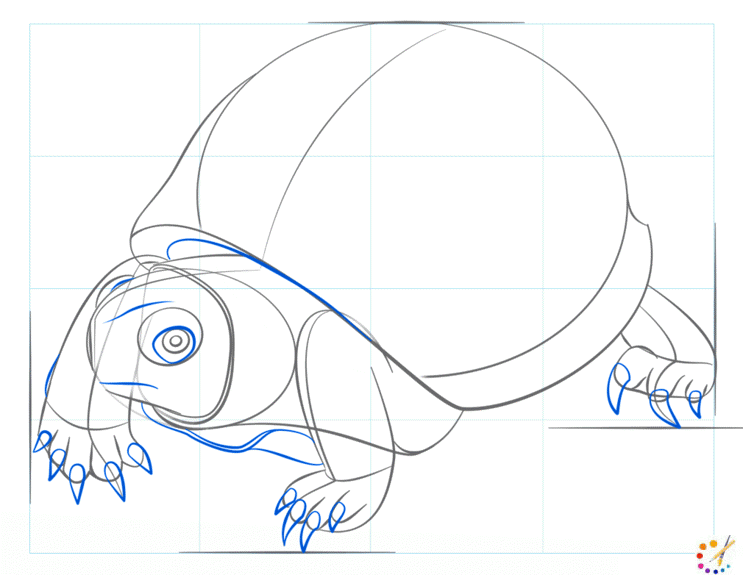 How To Draw A Turtle Step By Step - For Kids & Beginners