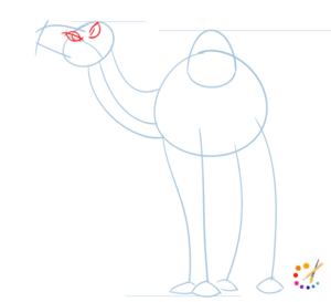 How to Draw a Camel Step By Step – For Kids & Beginners