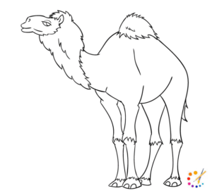 How to Draw a Camel Step By Step – For Kids & Beginners