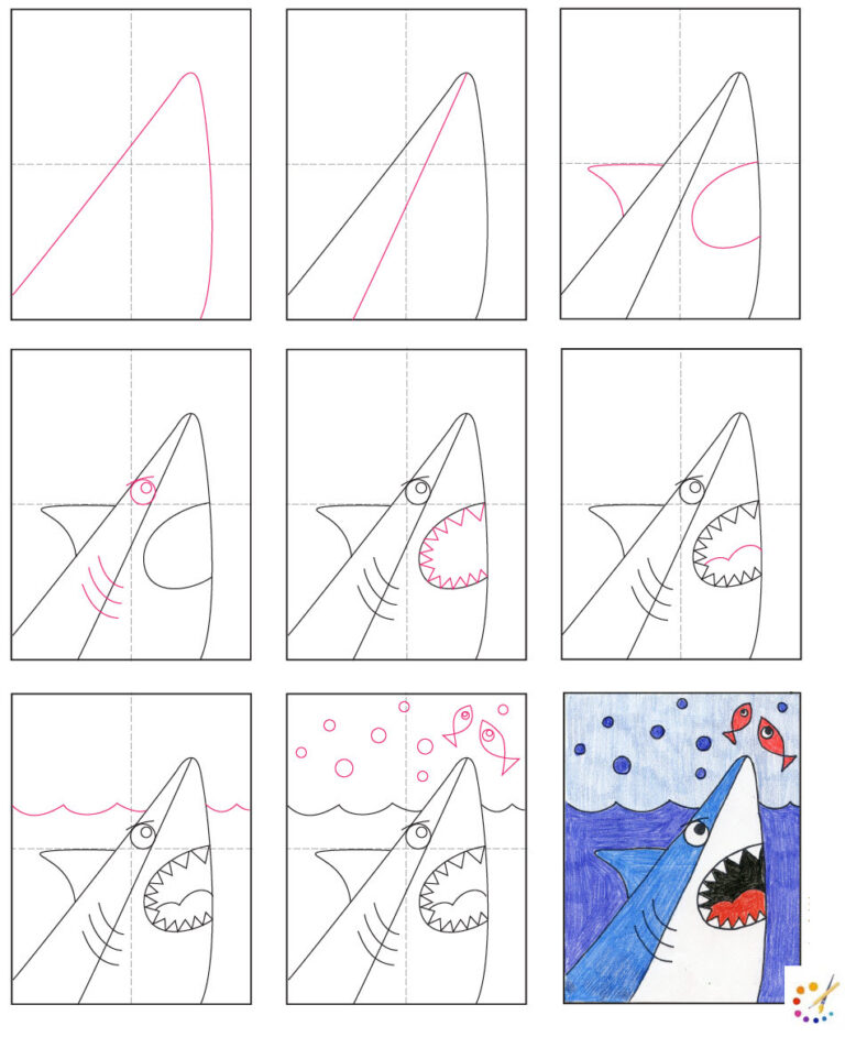 How to Draw a Shark Step By Step – For Kids & Beginners