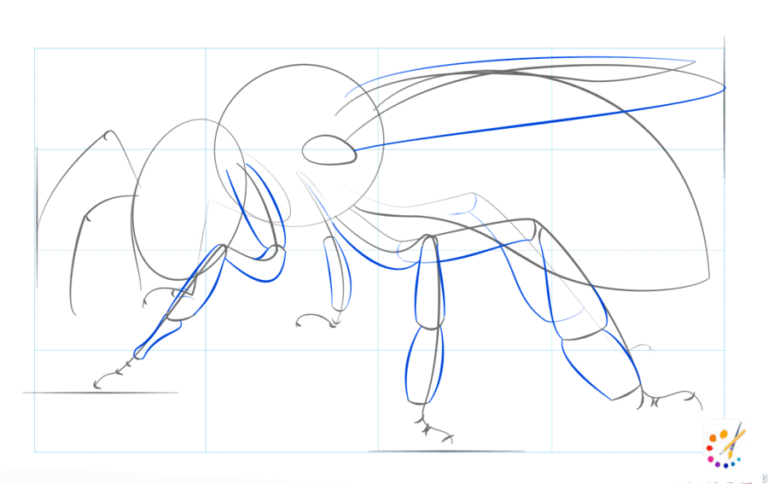 How to Draw a Bee Step By Step – For Kids & Beginners