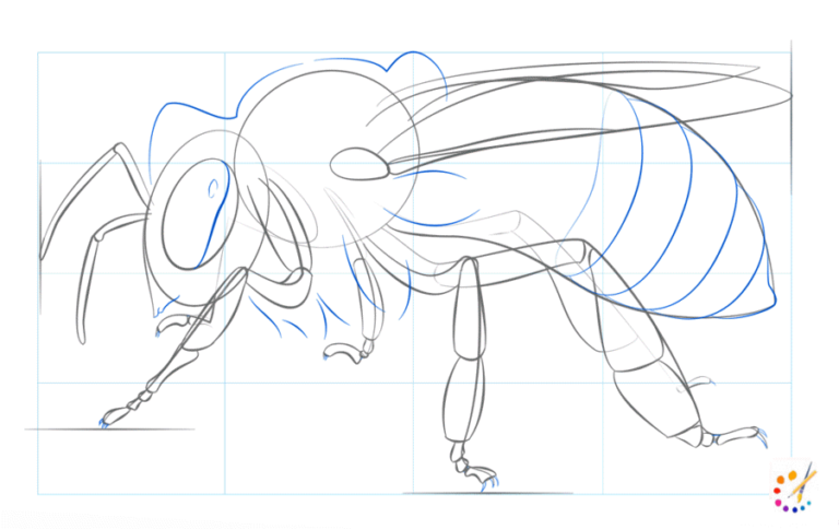 How to Draw a Bee Step By Step – For Kids & Beginners