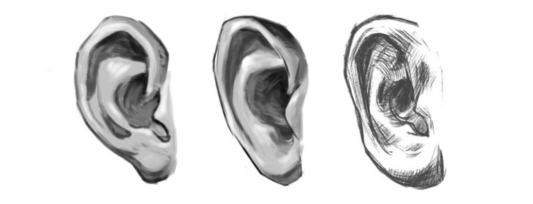 How to Draw Ear Step By Step – For Kids & Beginners