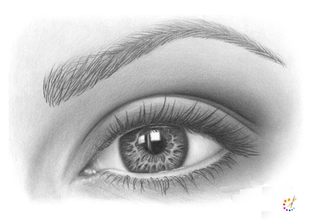 How to Draw Eyebrows Step By Step – For Kids & Beginners