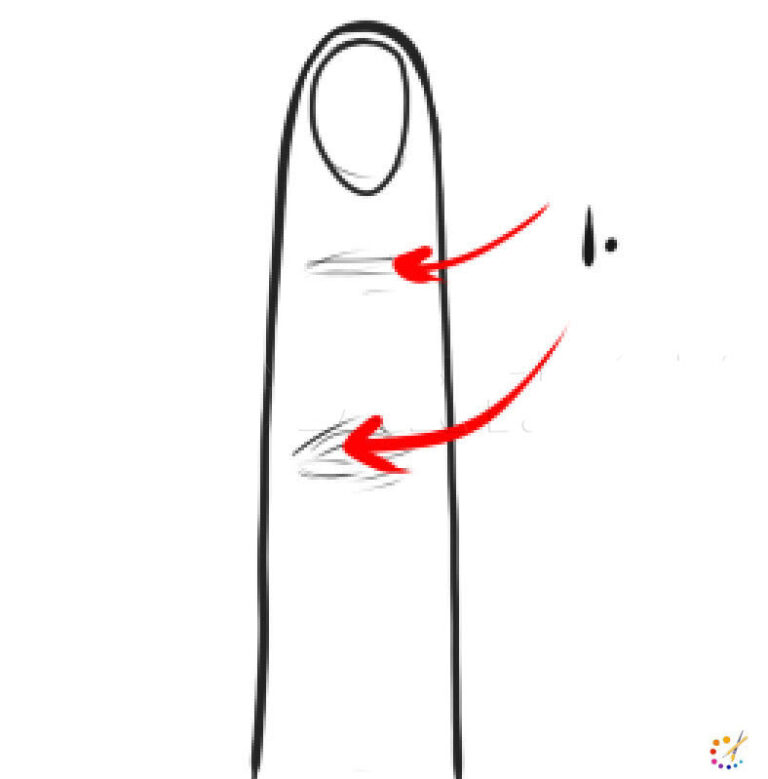 How To Draw Fingers Step By Step – For Kids & Beginners