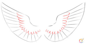How to Draw Wings Step By Step – For Kids & Beginners