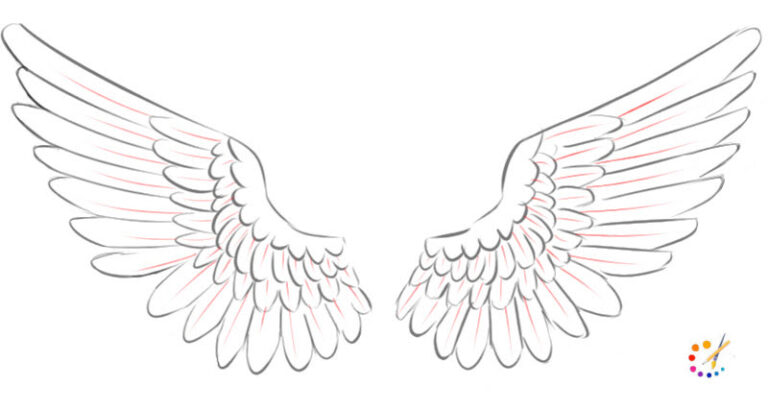 How to Draw Wings Step By Step – For Kids & Beginners