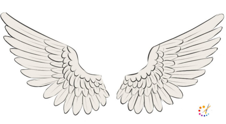 How to Draw Wings Step By Step – For Kids & Beginners