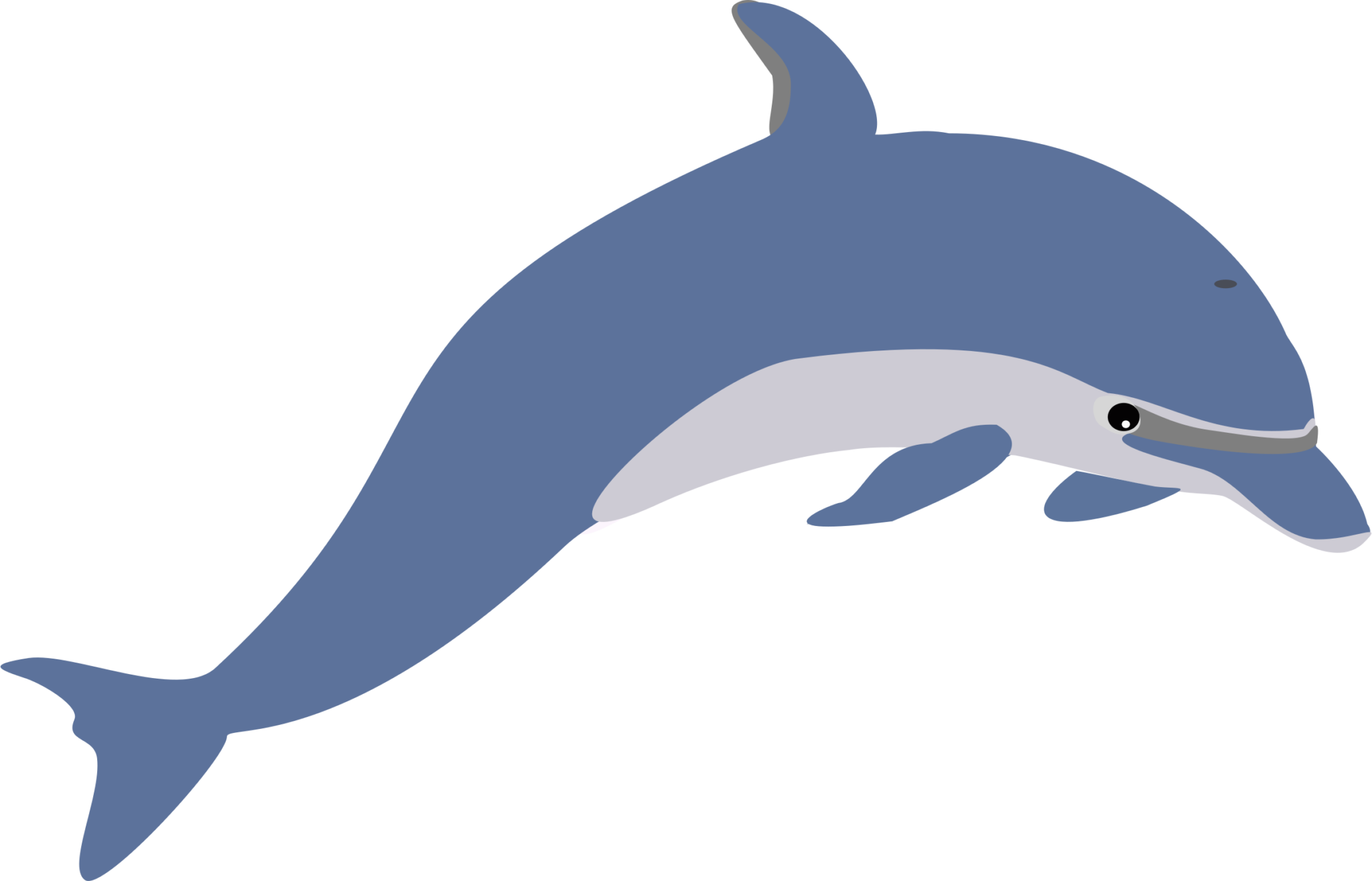 How to Draw a Dolphin Step by Step - For Kids & Beginners