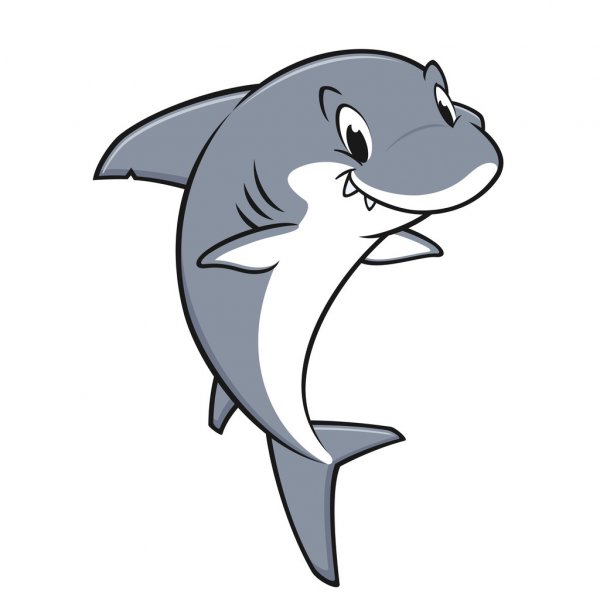 How to Draw a Shark Step By Step – For Kids & Beginners