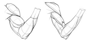 How to Draw Muscles Step By Step – For Kids & Beginners