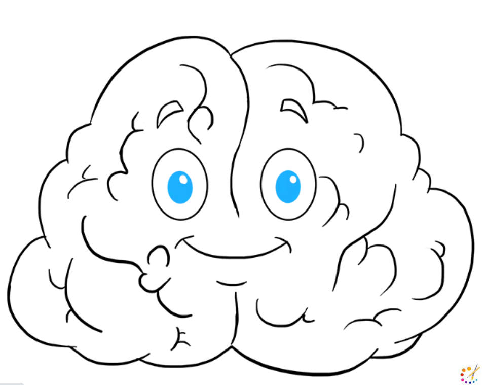 How to Draw A Brain Step By Step - For Kids & Beginners