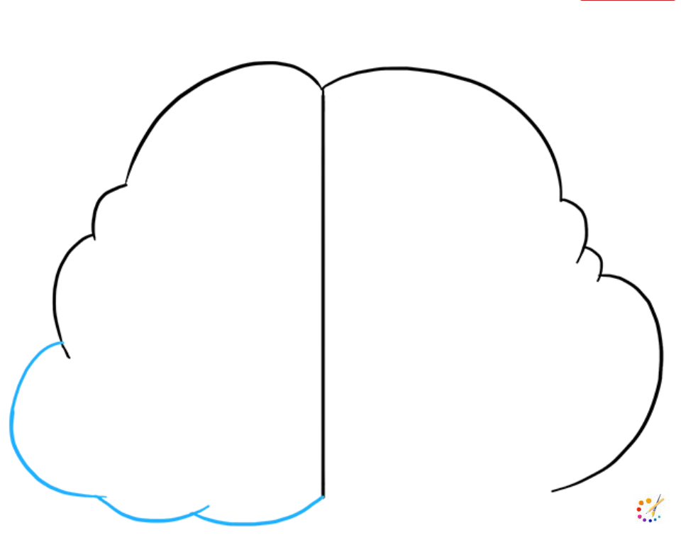 How to Draw A Brain Step By Step - For Kids & Beginners