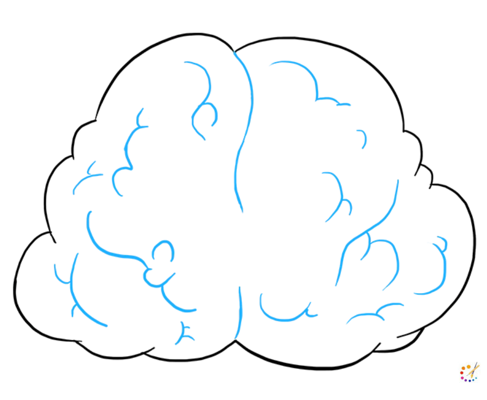 How to Draw A Brain Step By Step - For Kids & Beginners