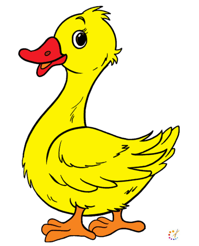 How to Draw a Duck Step By Step - For Kids & Beginners